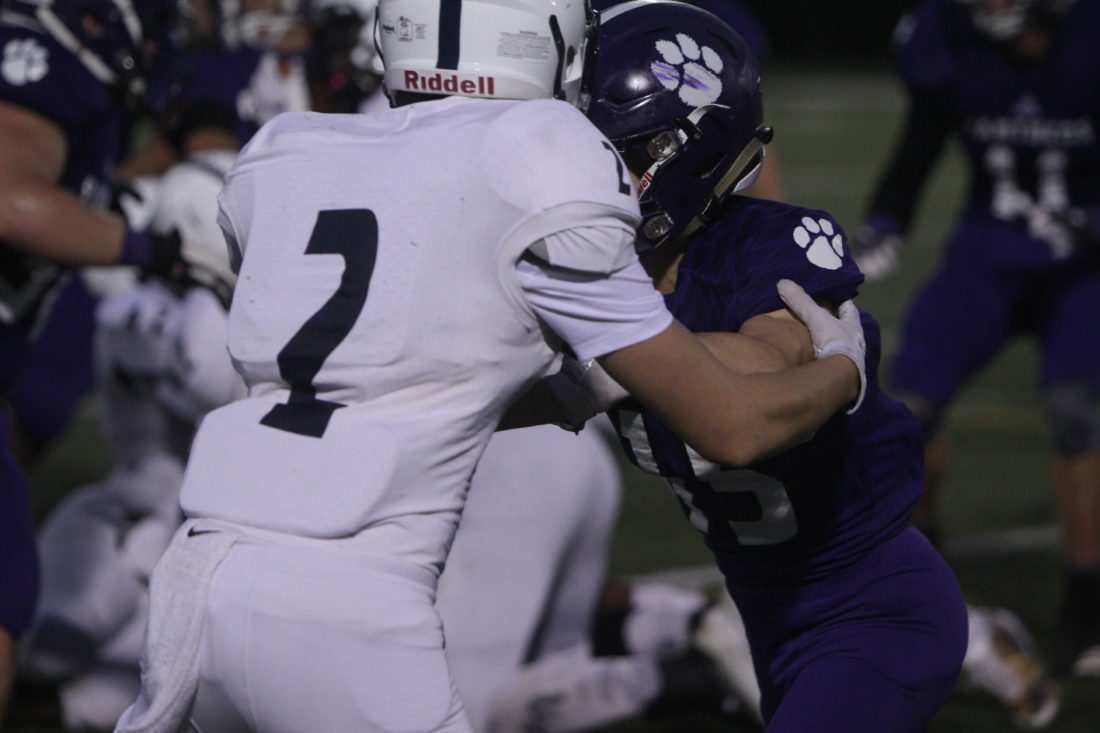 Panthers, Titans ready to clash one more time | News, Sports, Jobs ...